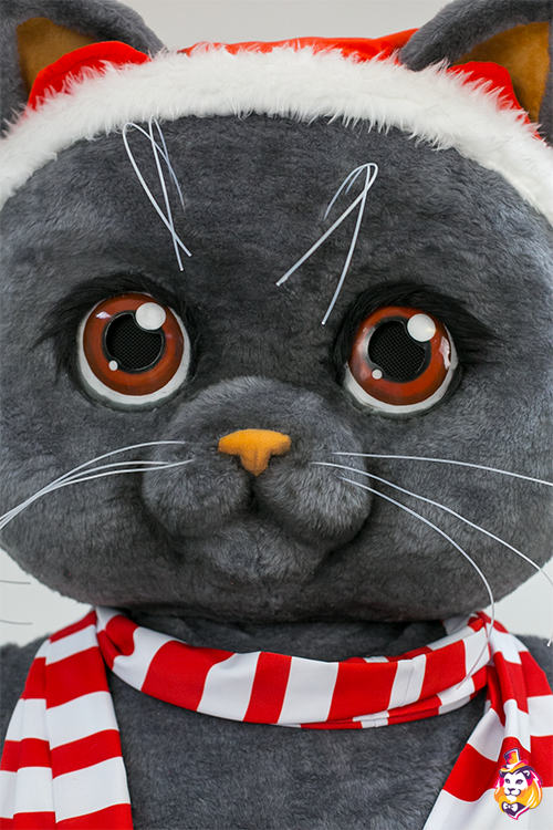 Cat Frost Mascot Costume
