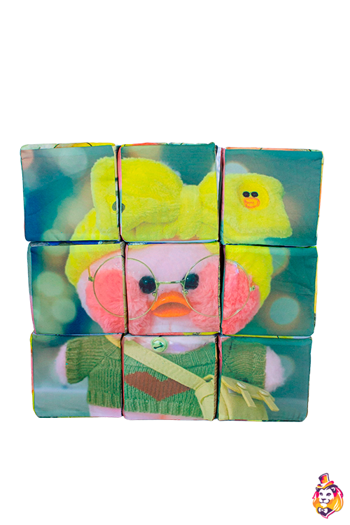 Puzzle cubes Duck game prop