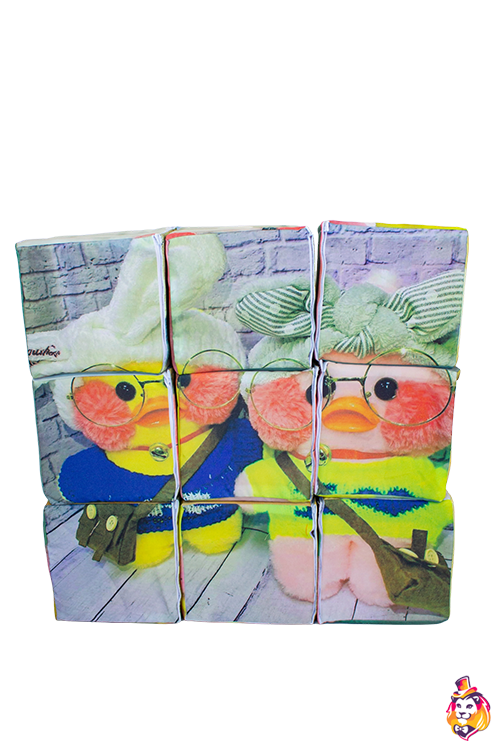 Puzzle cubes Duck game prop