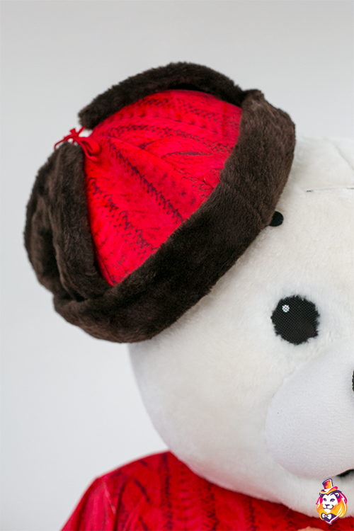 Set Bear Jake Costume for Mascot