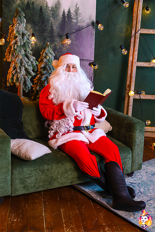 Red Santa carnival costume