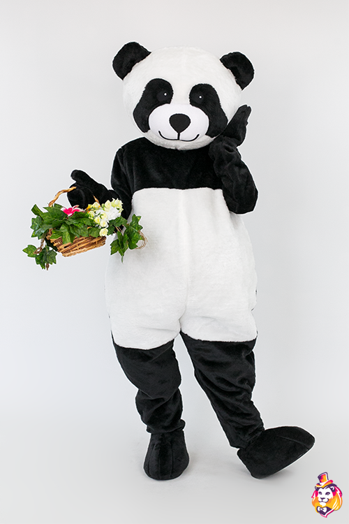 Panda Robert mascot costume