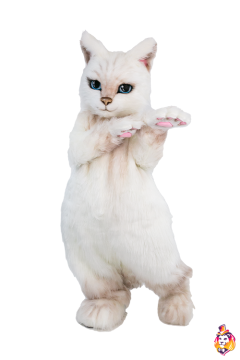 Catalog | Carnival Mascot Production