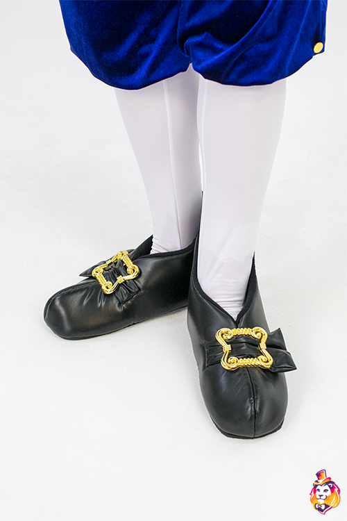 Enchanted Prince carnival costume