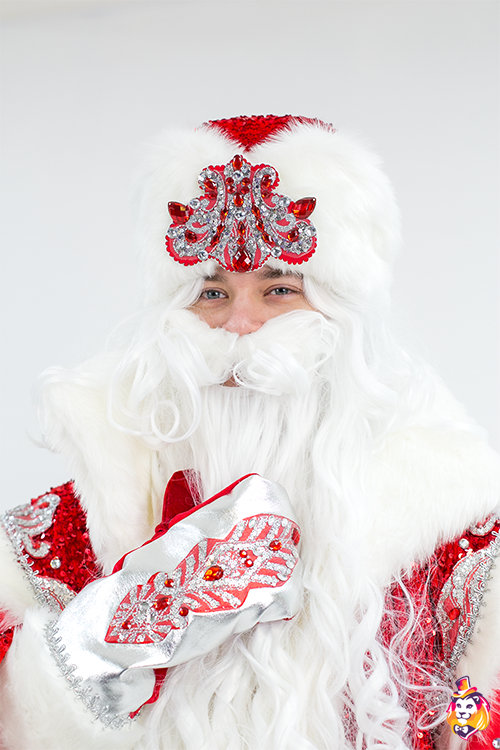 Santa Claus Designer Carnival сostume
