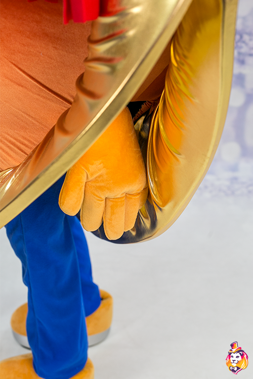 Pancake Mascot Сostume