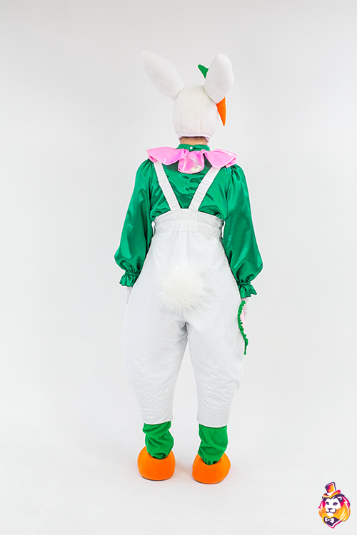 Rabbit Carrot Carnival costume