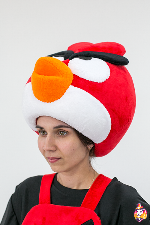 Bird Red Cardinal Carnival сostume