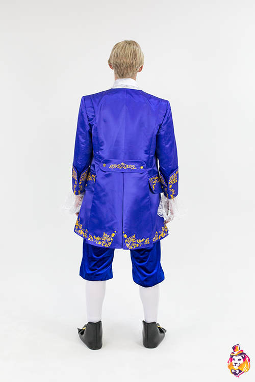 Enchanted Prince carnival costume